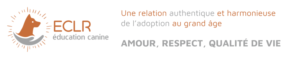 6 conseils pour sortir de la spirale de la réactivité - EcLR